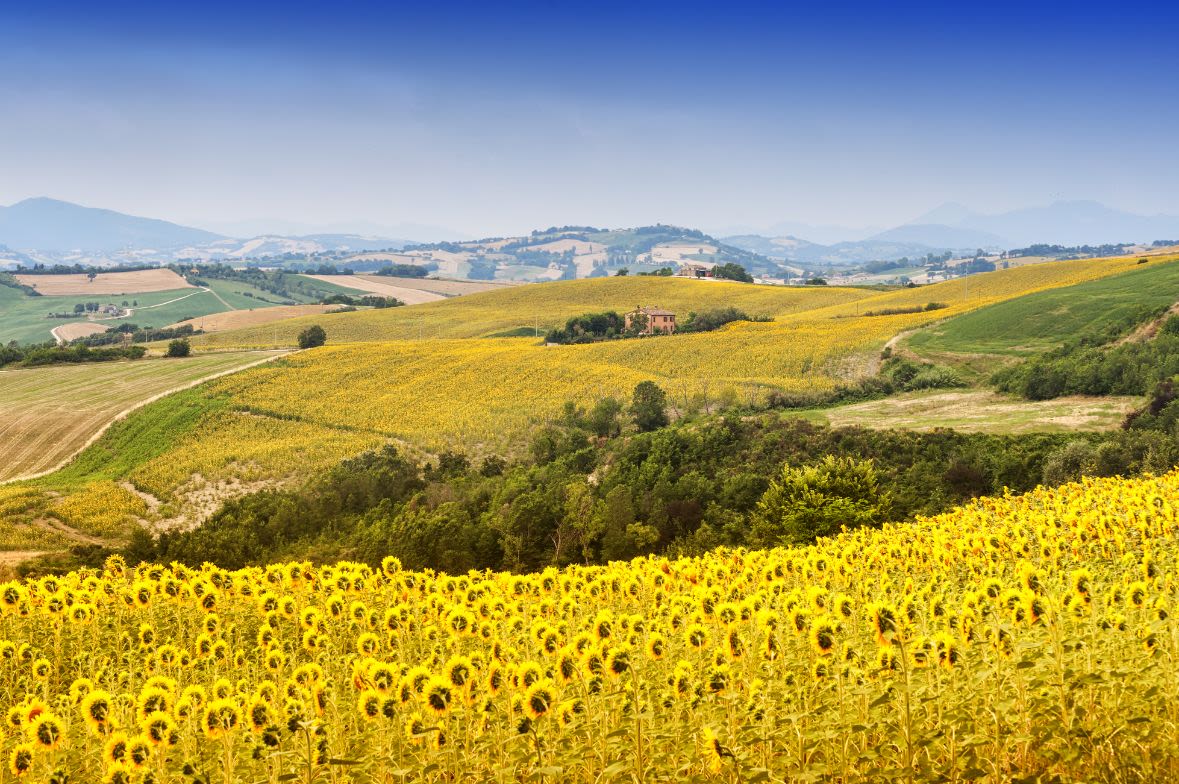 The Ultimate Guide to Italy